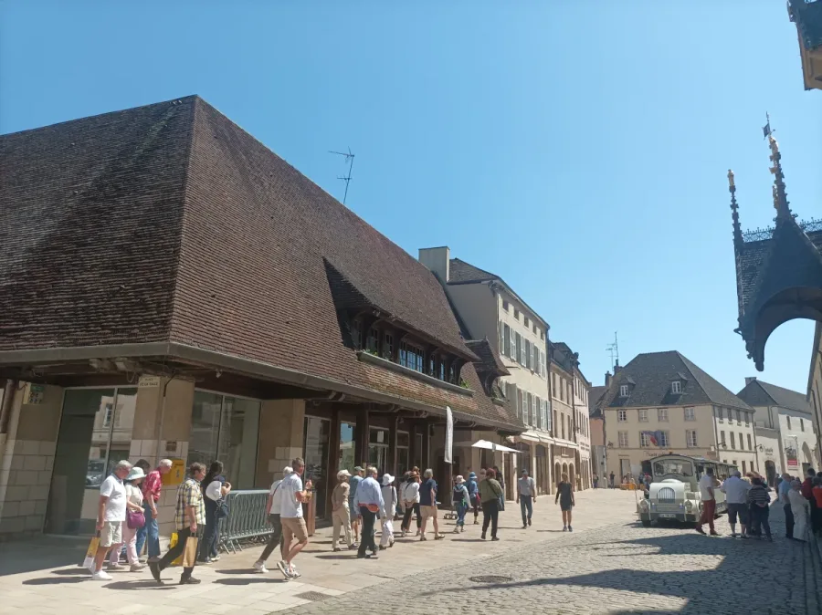 Guided tour in Beaune including the Hospices - 3 hours